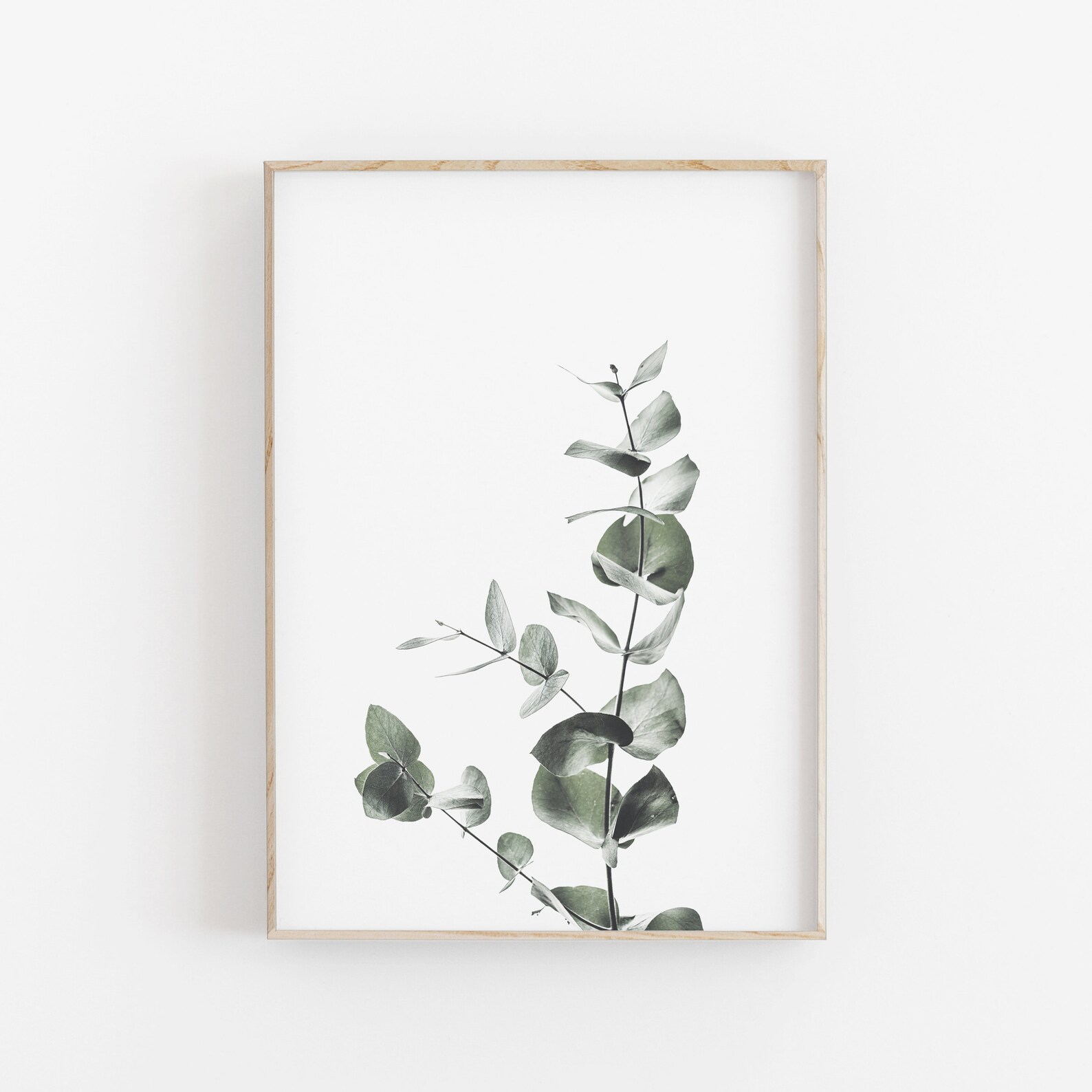 Botanical Print Set of 6 Botanical Print Printable Art | Etsy