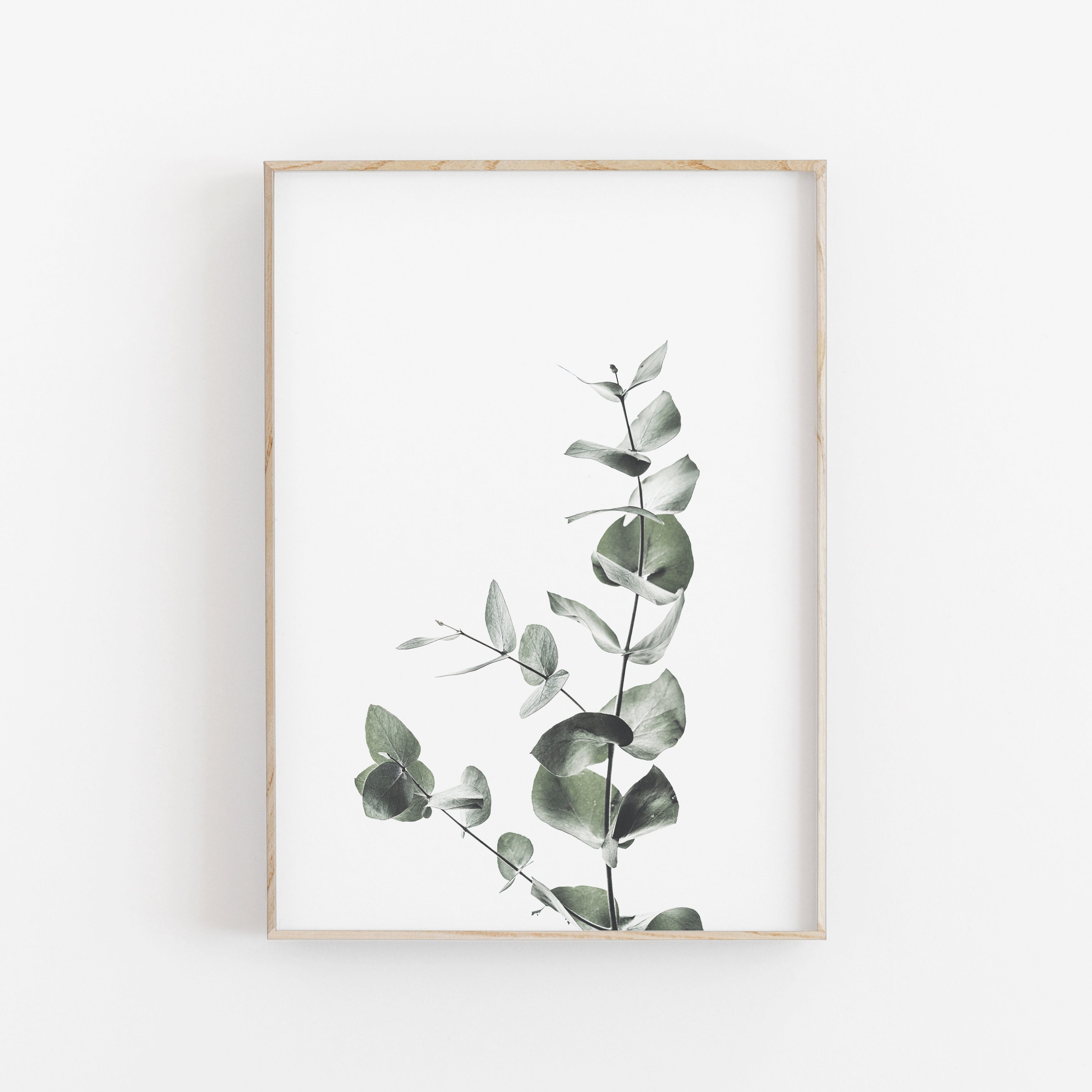 Botanical Print Set of 6 Botanical Print Printable Art | Etsy