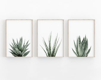 Succulent Wall Art | Etsy