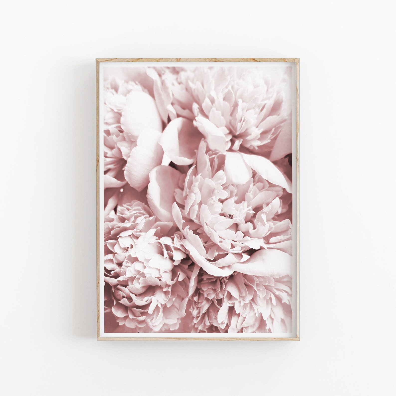 Peony Print Set of 3 Flower Print Printable Art INSTANT - Etsy