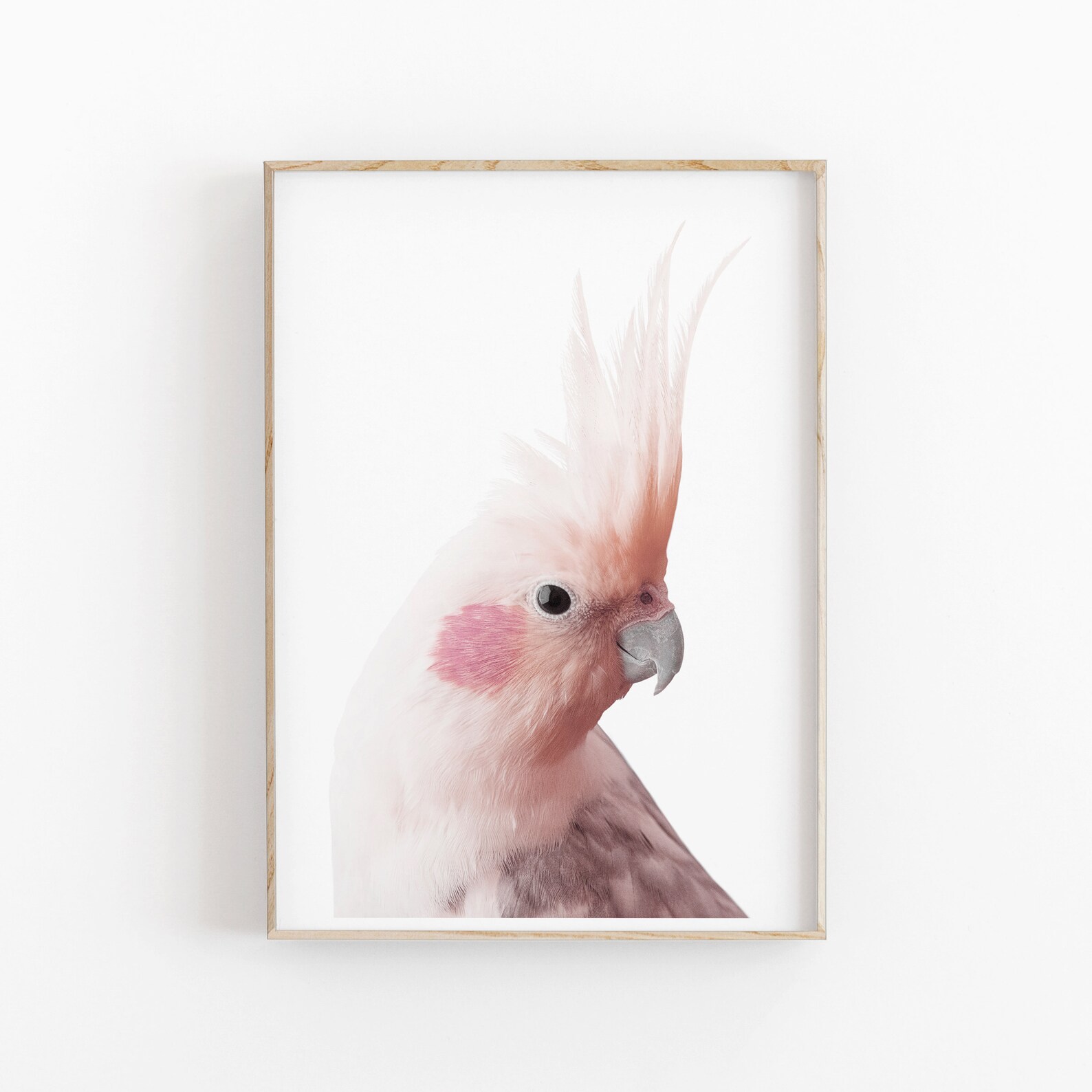 Cockatoo Print Set of 2 Pink Parrot Print Printable Art - Etsy