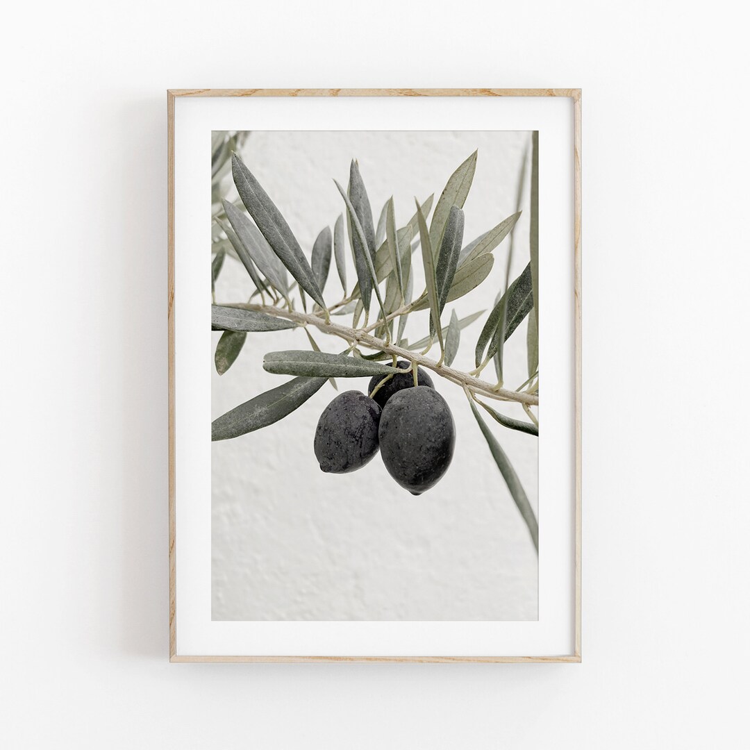 Olives Print, Botanical Wall Art, PRINTABLE Art, Photography Printable ...