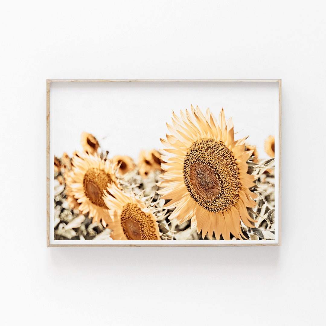 Sunflowers Print, Instant Art, INSTANT DOWNLOAD, Modern Minimalist ...