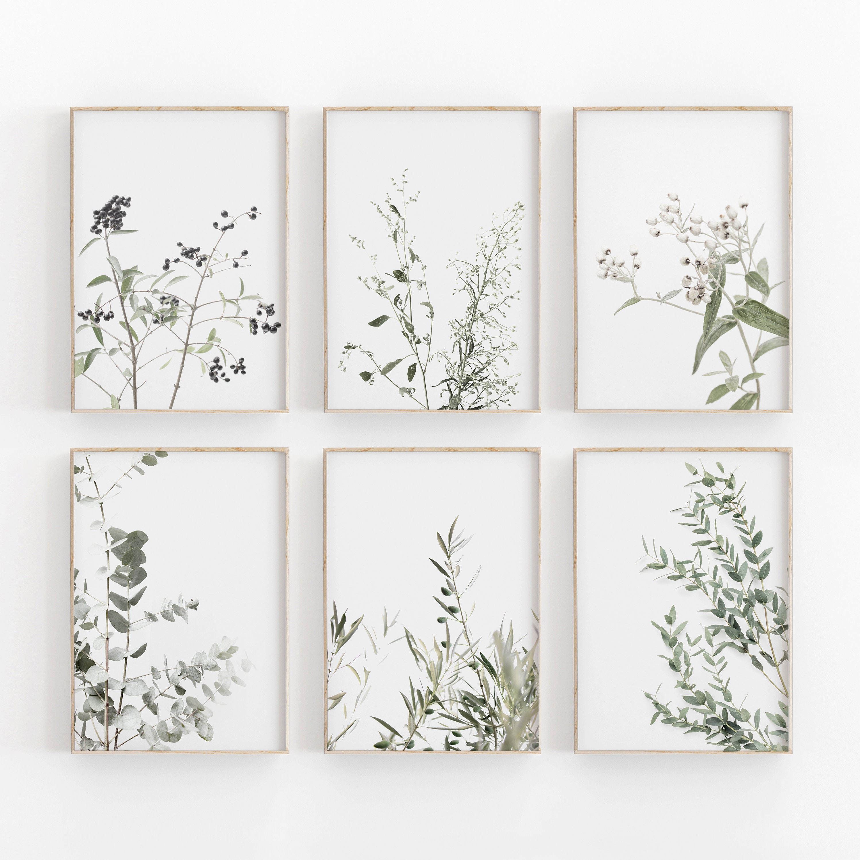 Botanical Print Set of 6 Botanical Print Printable Art - Etsy