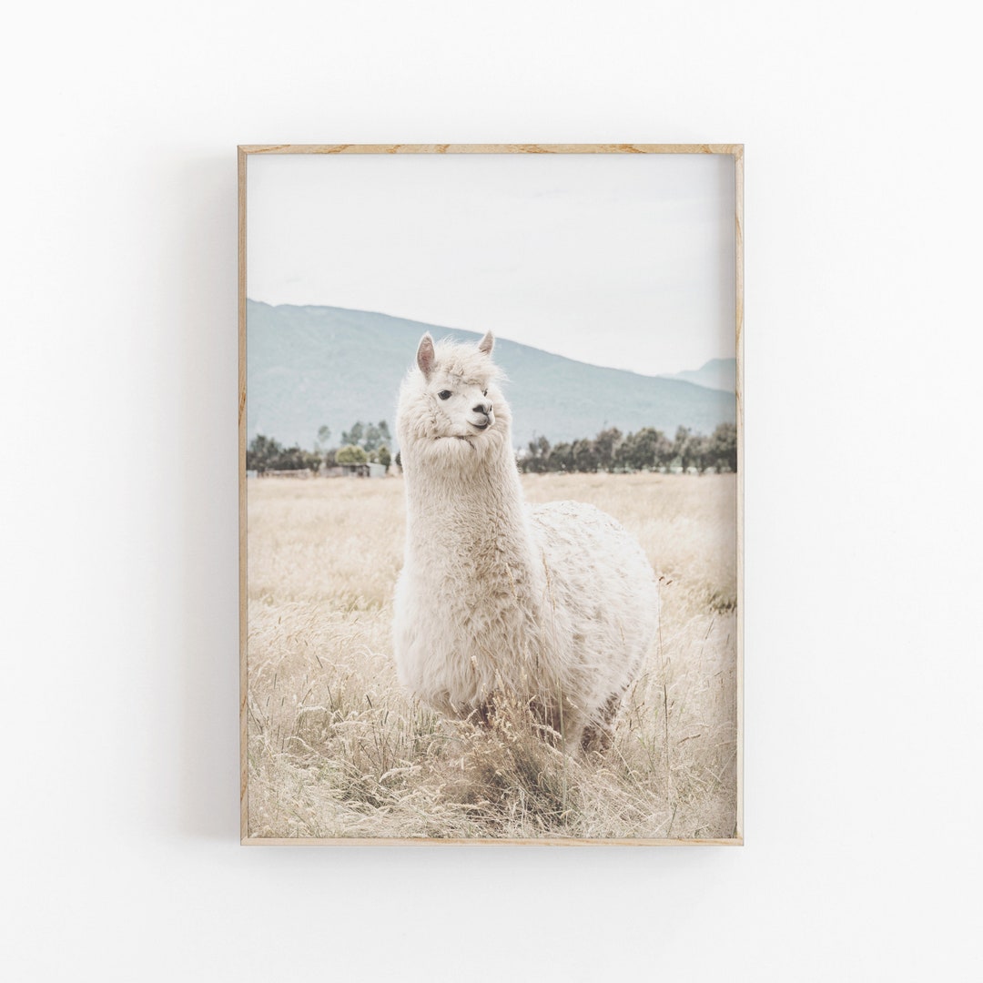 Alpaca Print, Farmhouse Art, Llama Nursery Poster, Printable Wall Decor ...