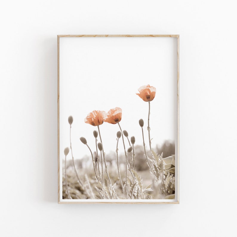Poppy Print Set of 3 Flower Print Printable Art INSTANT - Etsy Canada