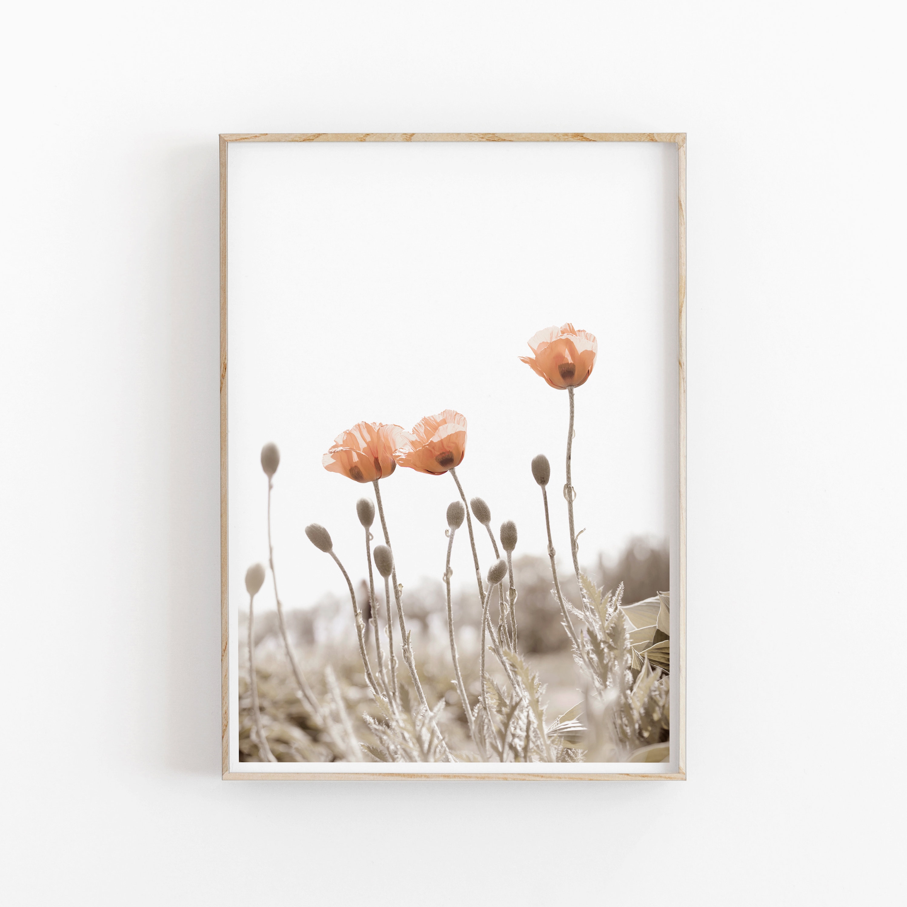 Poppy Print Set of 3 Flower Print Printable Art INSTANT - Etsy Canada