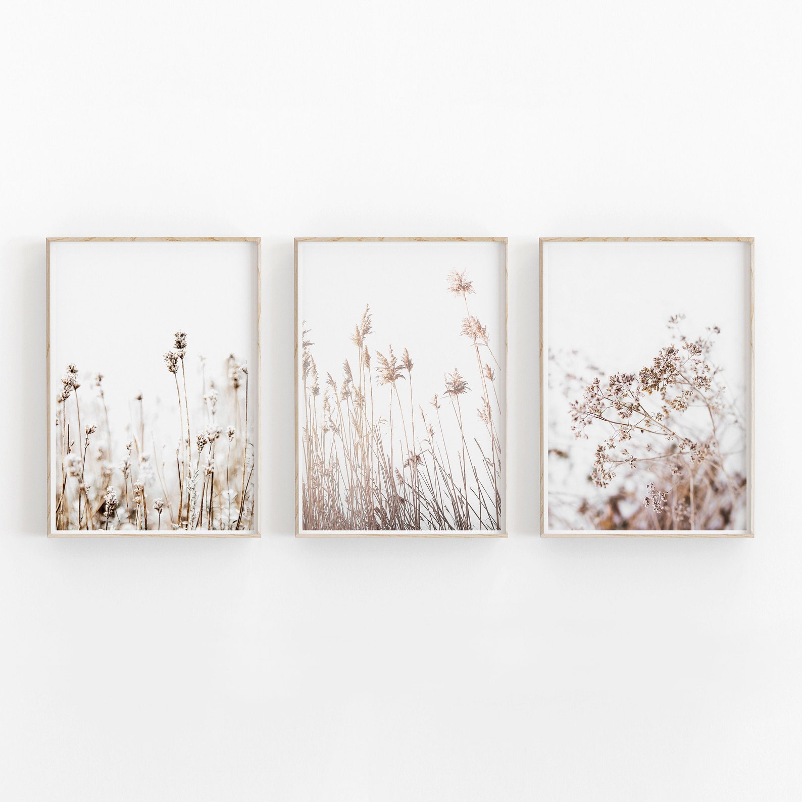 Botanical Print Set of 3 Dried Grass Print Printable Art - Etsy