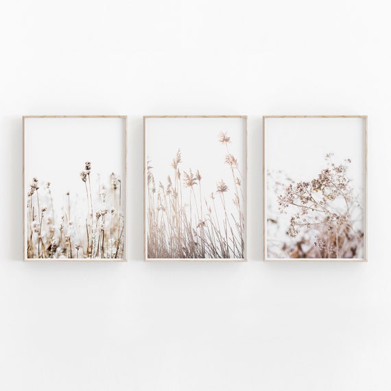 Botanical Print Set of 3 Dried Grass Print Printable Art - Etsy Canada