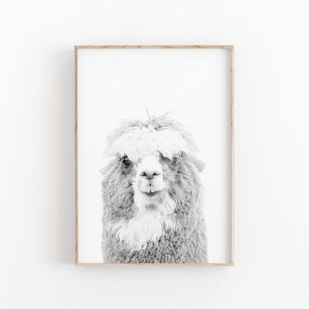 Alpaca Print, Llama Art, INSTANT DOWNLOAD, Modern Minimalist Poster ...