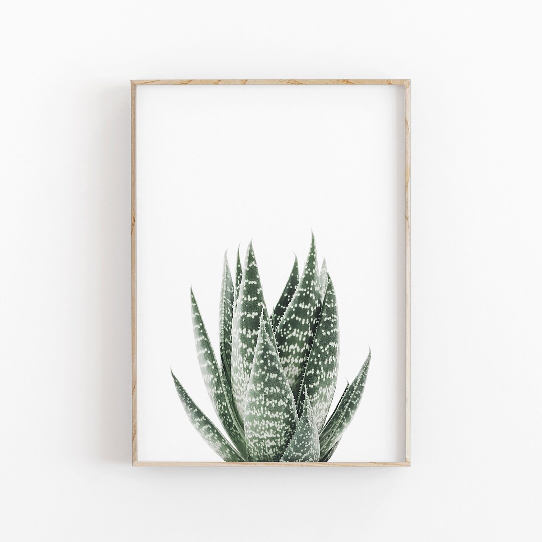 Succulent Print, Botanical Print, Instant Art, INSTANT DOWNLOAD, Modern ...