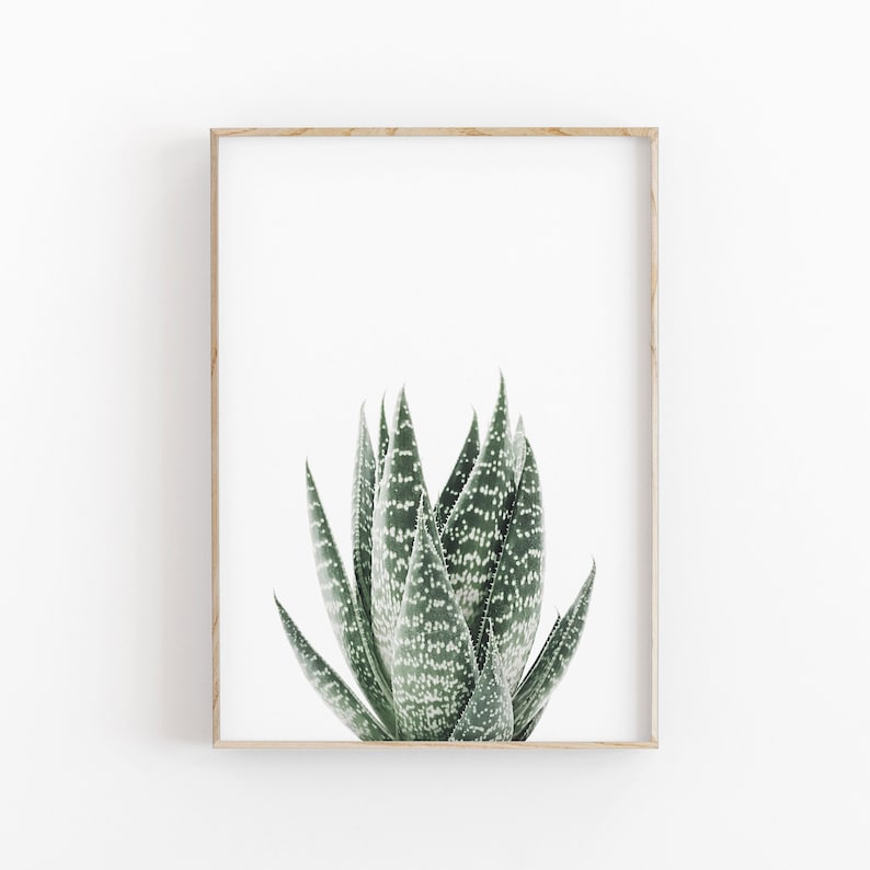 Succulent Print Botanical Print Instant Art INSTANT | Etsy