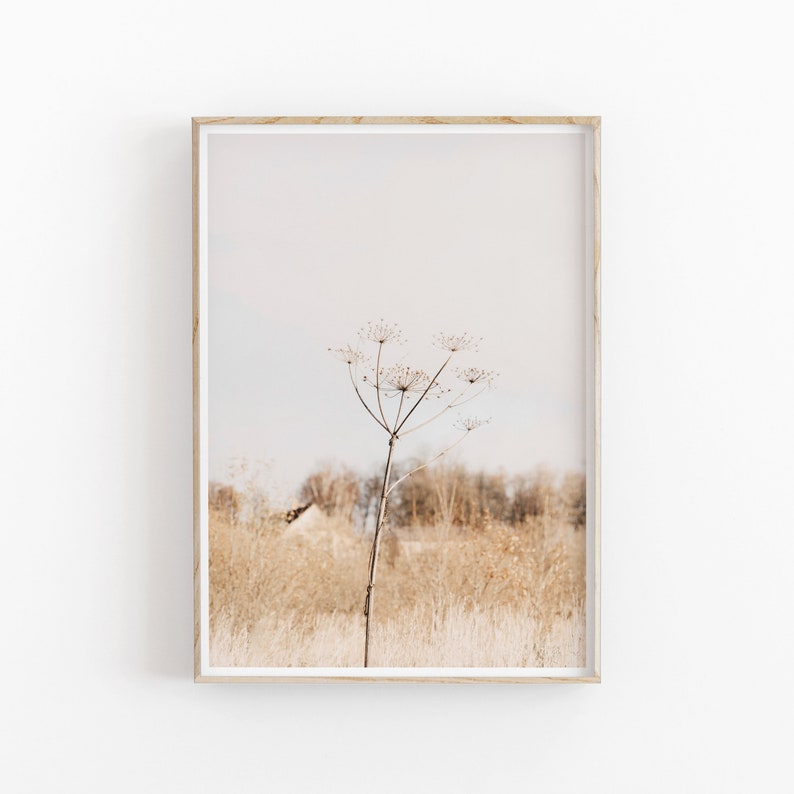 Botanical Print Set of 3 Dried Grass Print Printable Art - Etsy