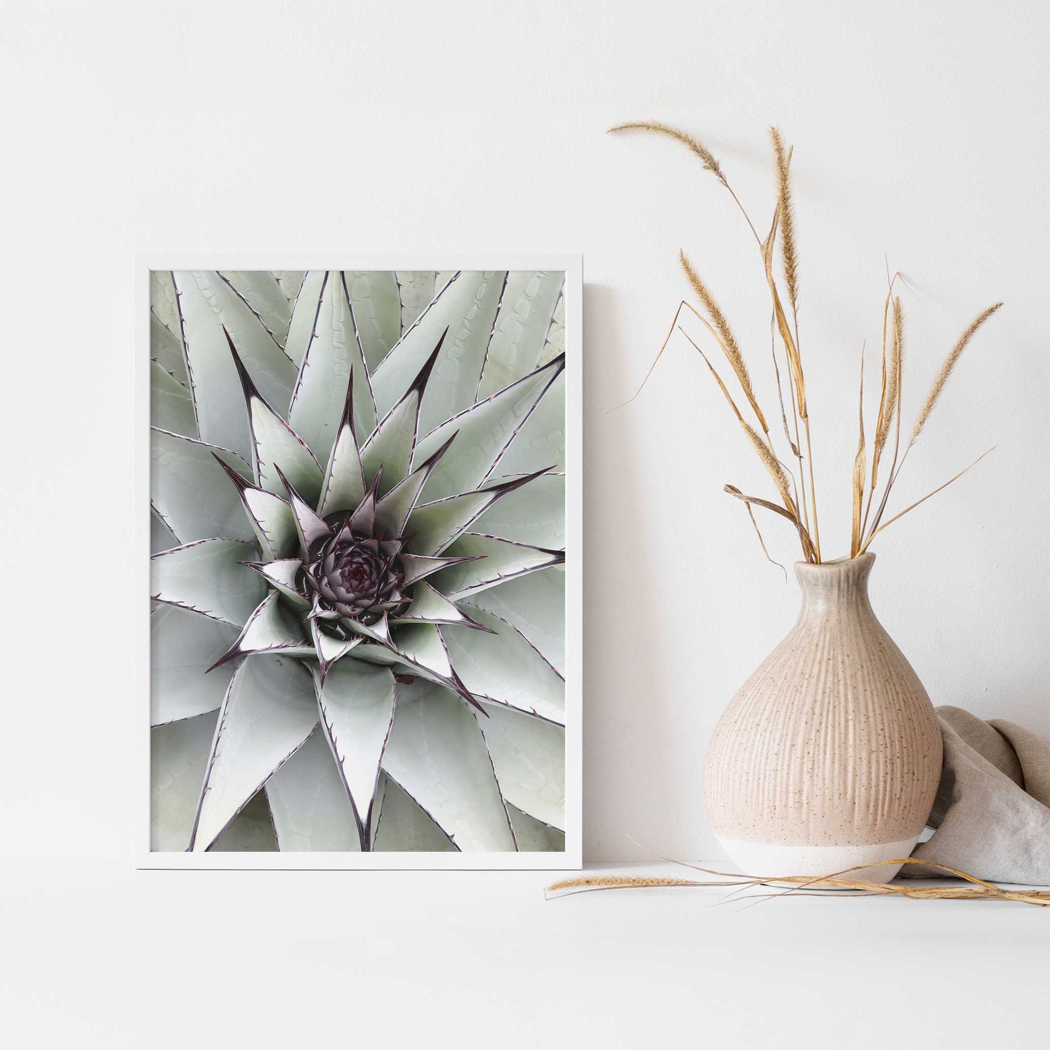 Cactus Print Set of 3 Nature Print Printable Art INSTANT - Etsy