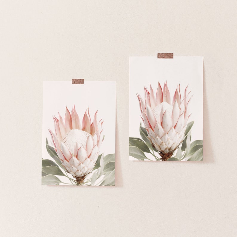 Protea Print Set of 2 Botanical Print Printable Art INSTANT | Etsy