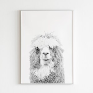 Alpaca Print, Llama Art, INSTANT DOWNLOAD, Modern Minimalist Poster ...