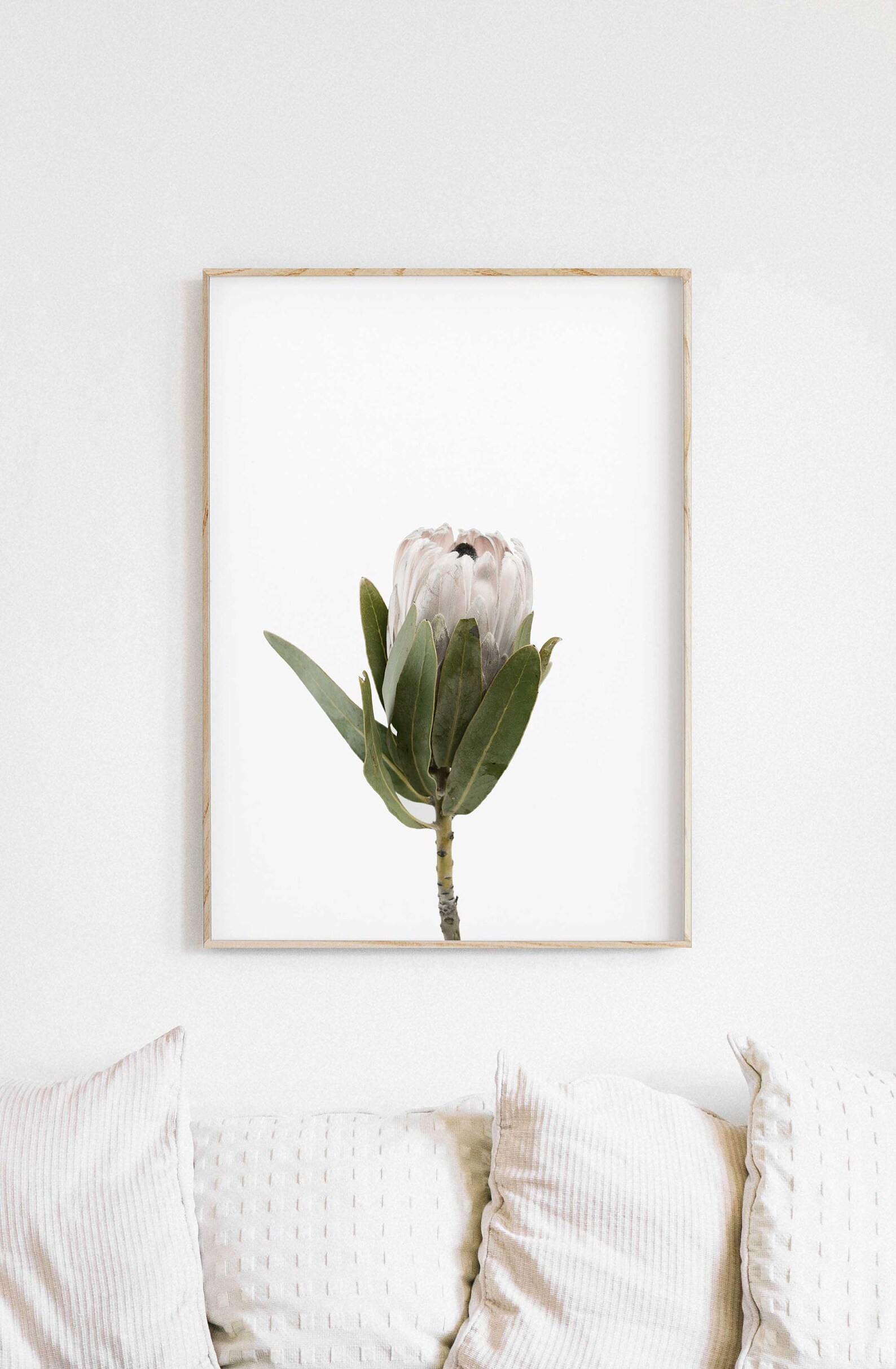 Protea Print Set of 3 Botanical Print Printable Art INSTANT | Etsy