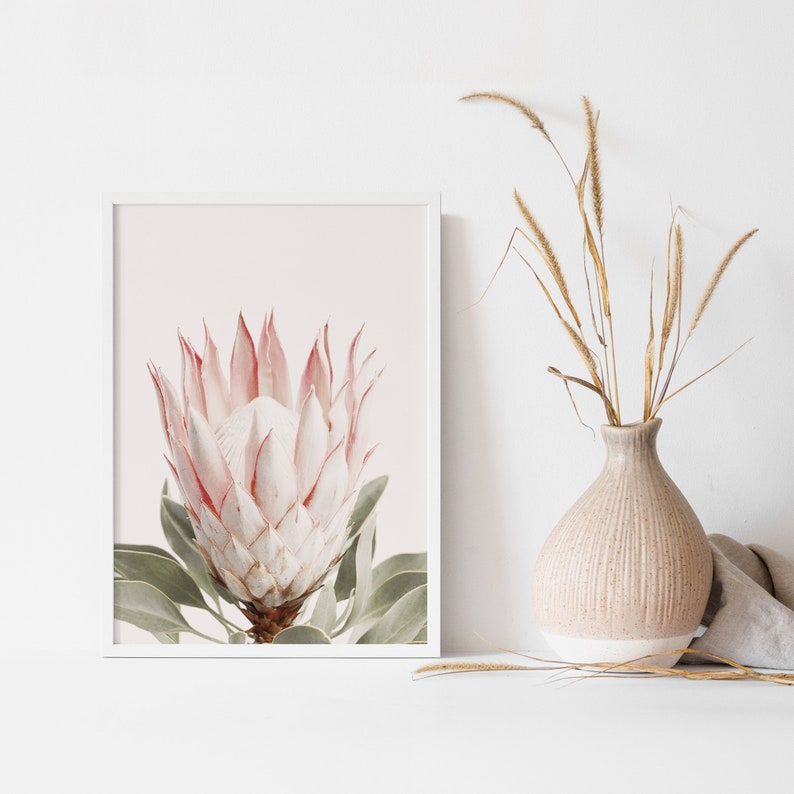 Protea Print Set of 3 Flower Print Printable Art INSTANT - Etsy