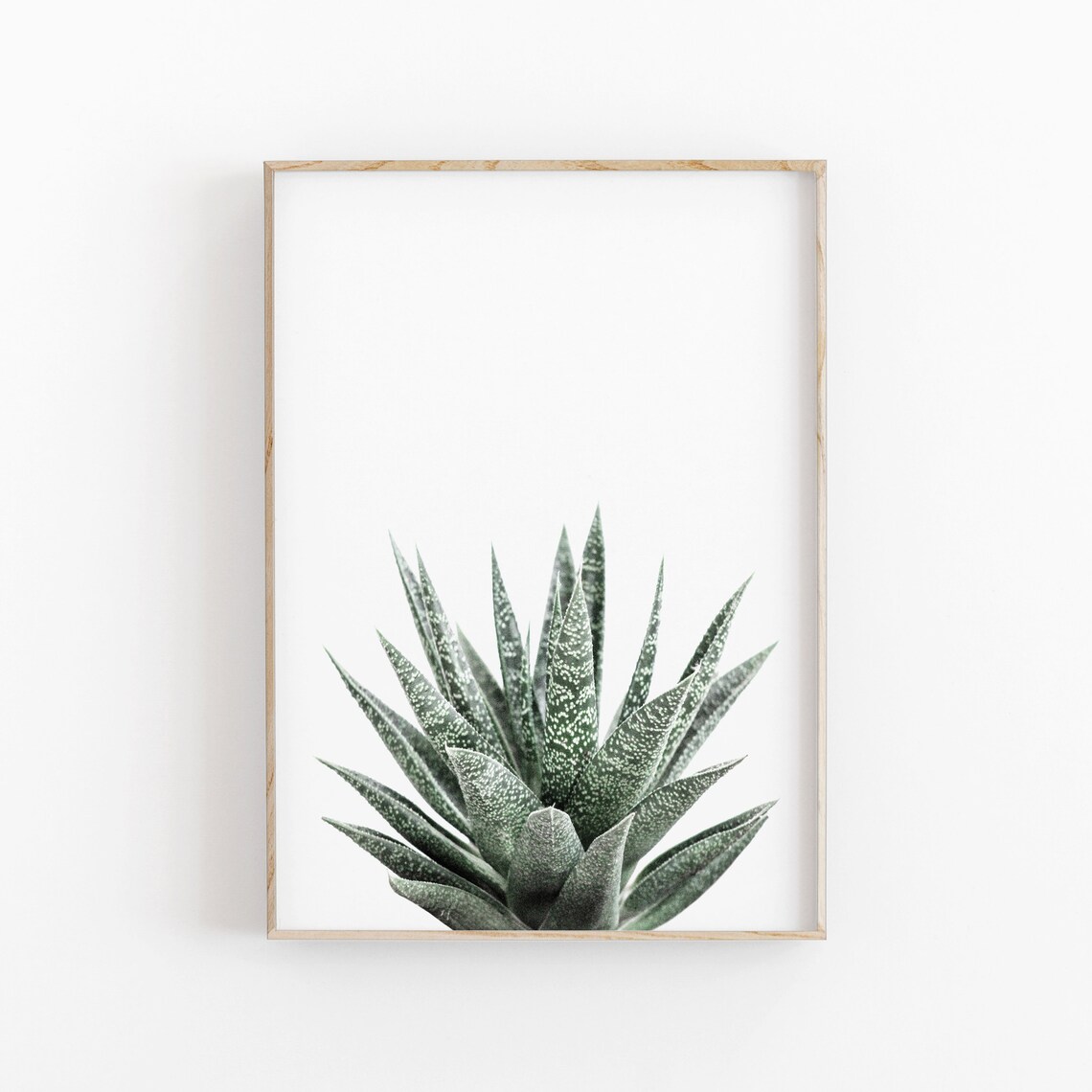 Succulent Print Botanical Print Instant Art INSTANT - Etsy