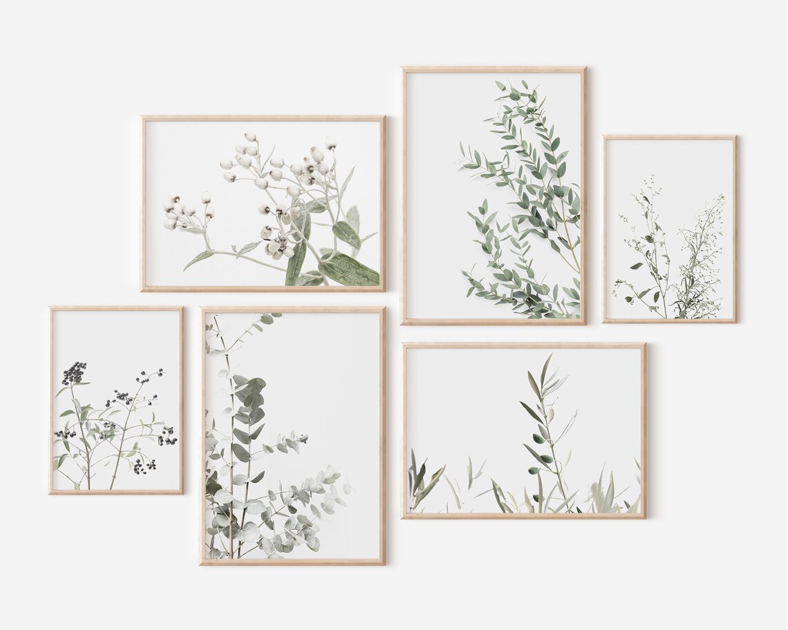 Botanical Print Set of 6 Botanical Print Printable Art - Etsy