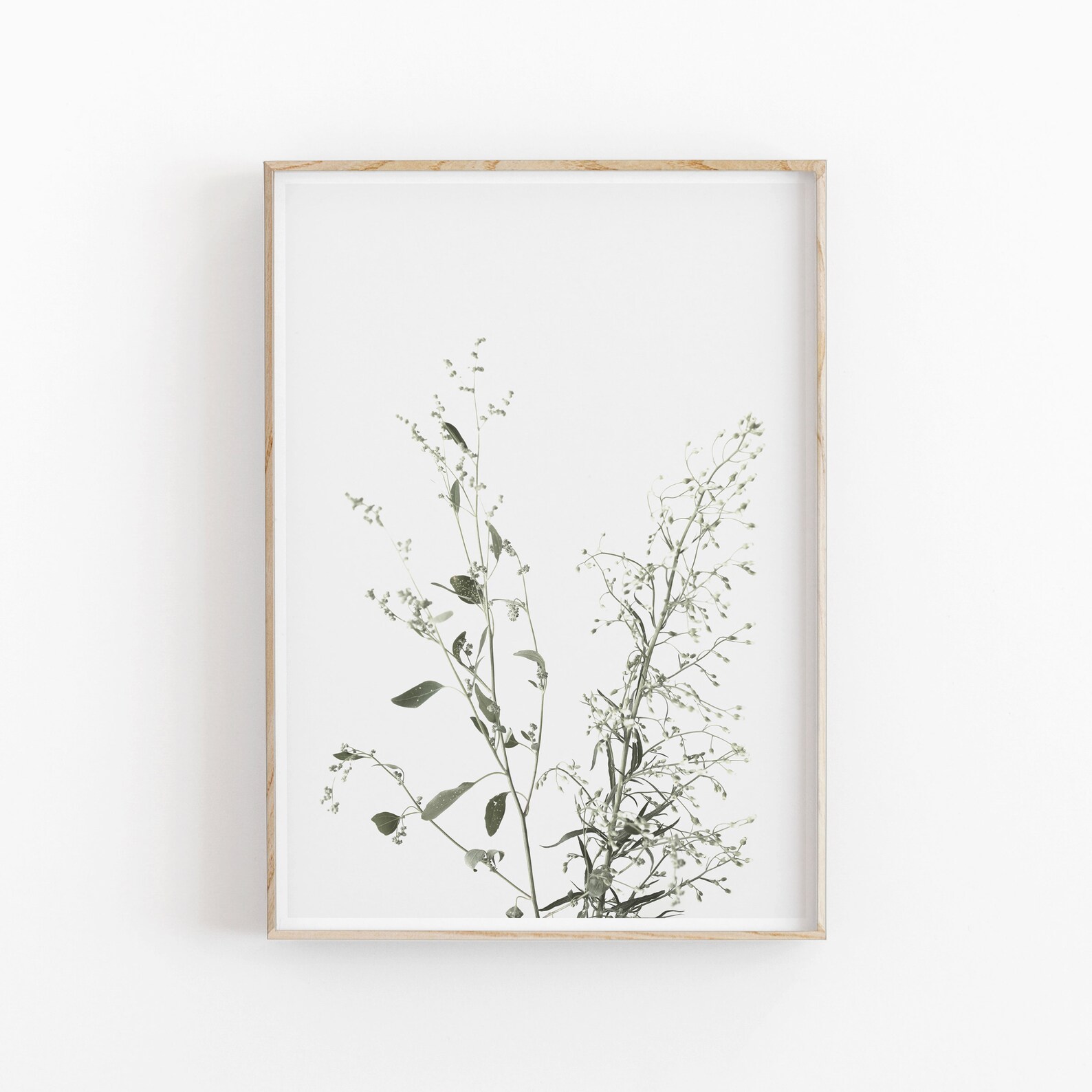 Botanical Print Set of 4 Botanical Print Printable Art | Etsy