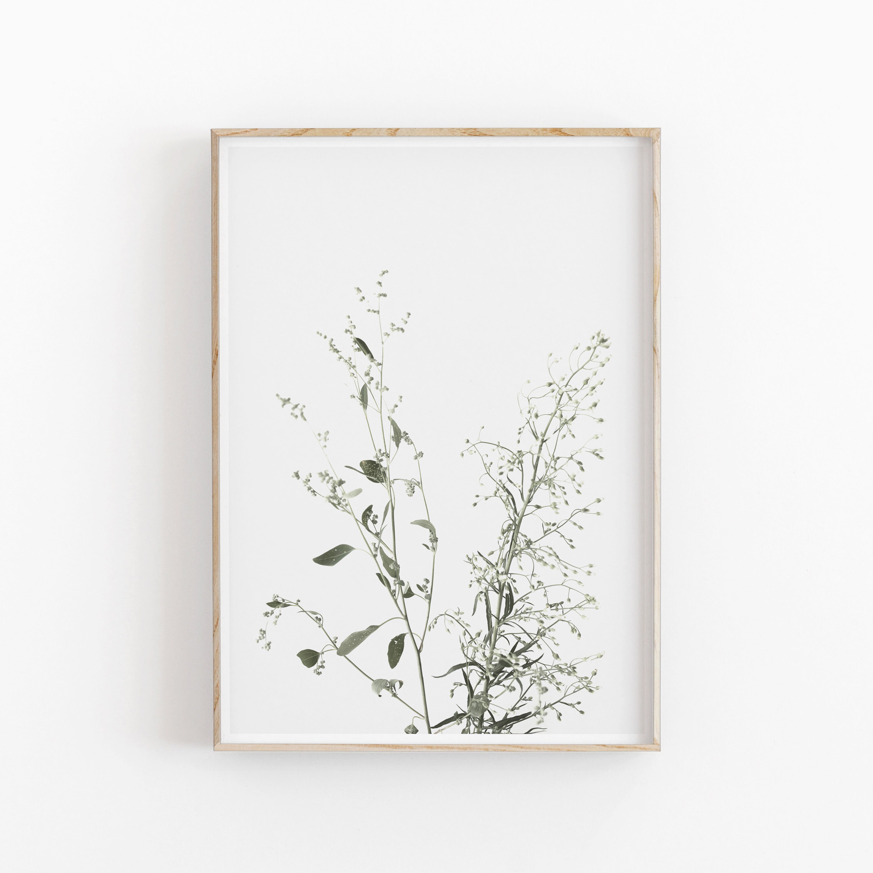 Botanical Print Set of 4 Botanical Print Printable Art - Etsy