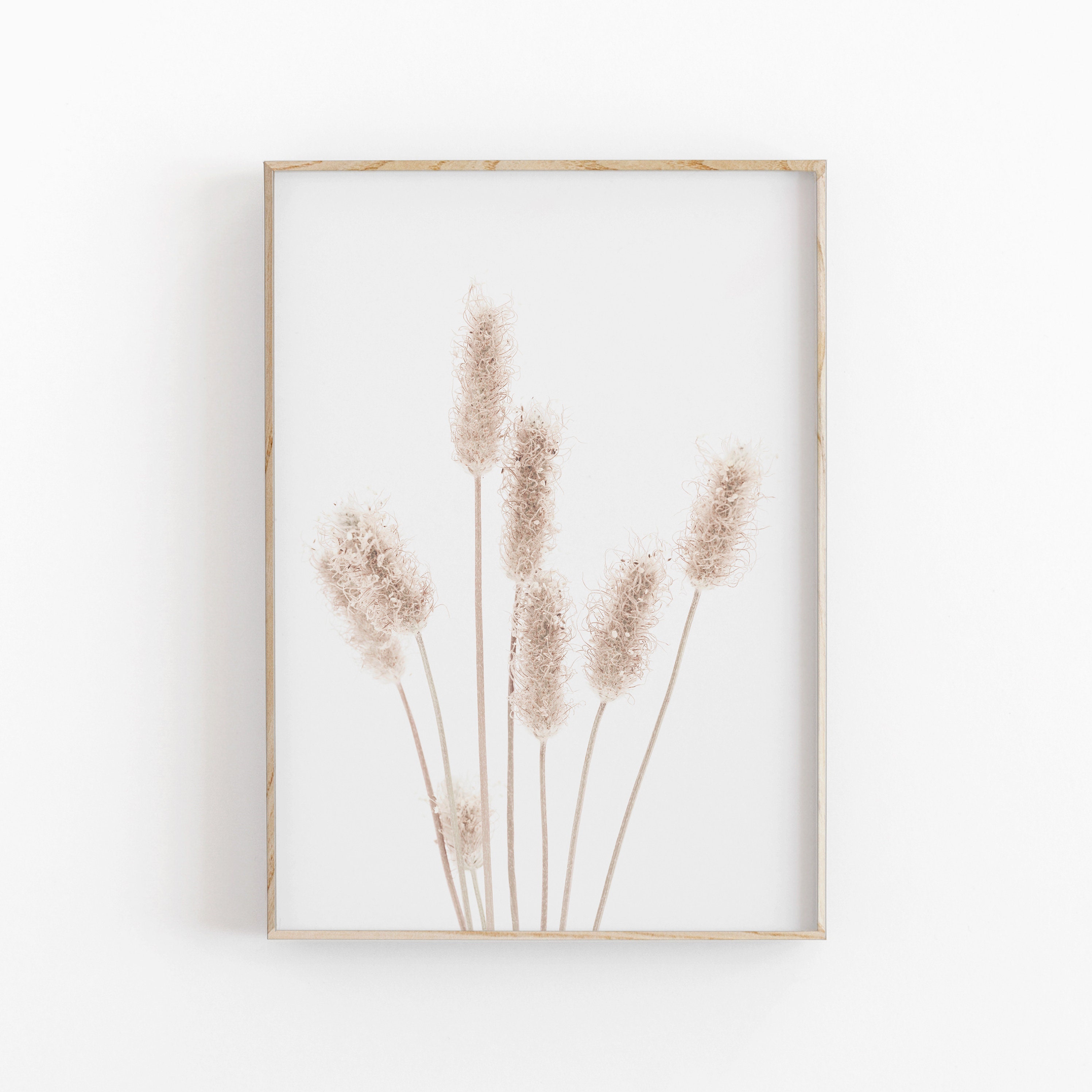 Botanical Print Set of 3 Dried Grass Print Printable Art - Etsy
