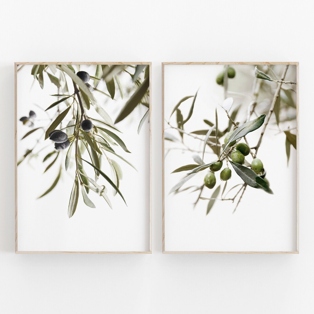 Botanical Print Set of 2, Olive Branch Wall Art, PRINTABLE Art ...