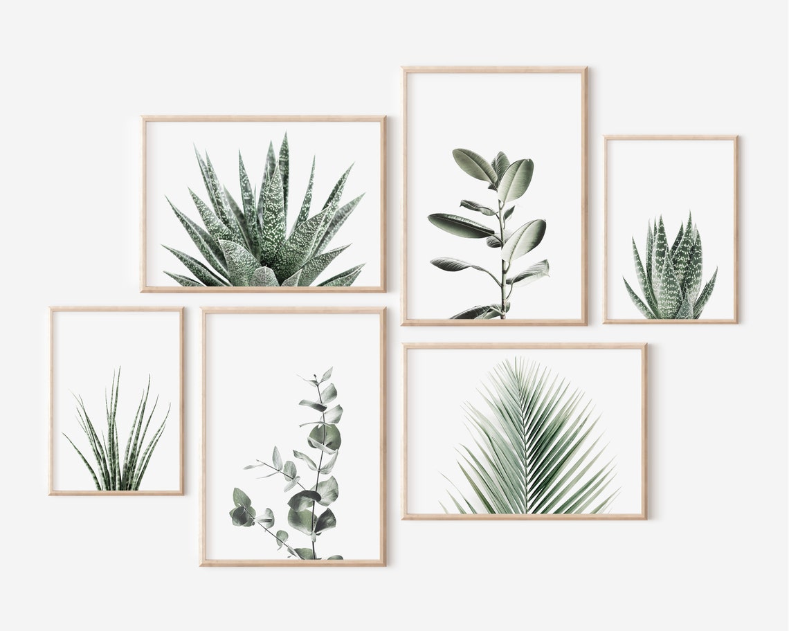 Botanical Print Set of 6 Botanical Print Printable Art - Etsy Australia