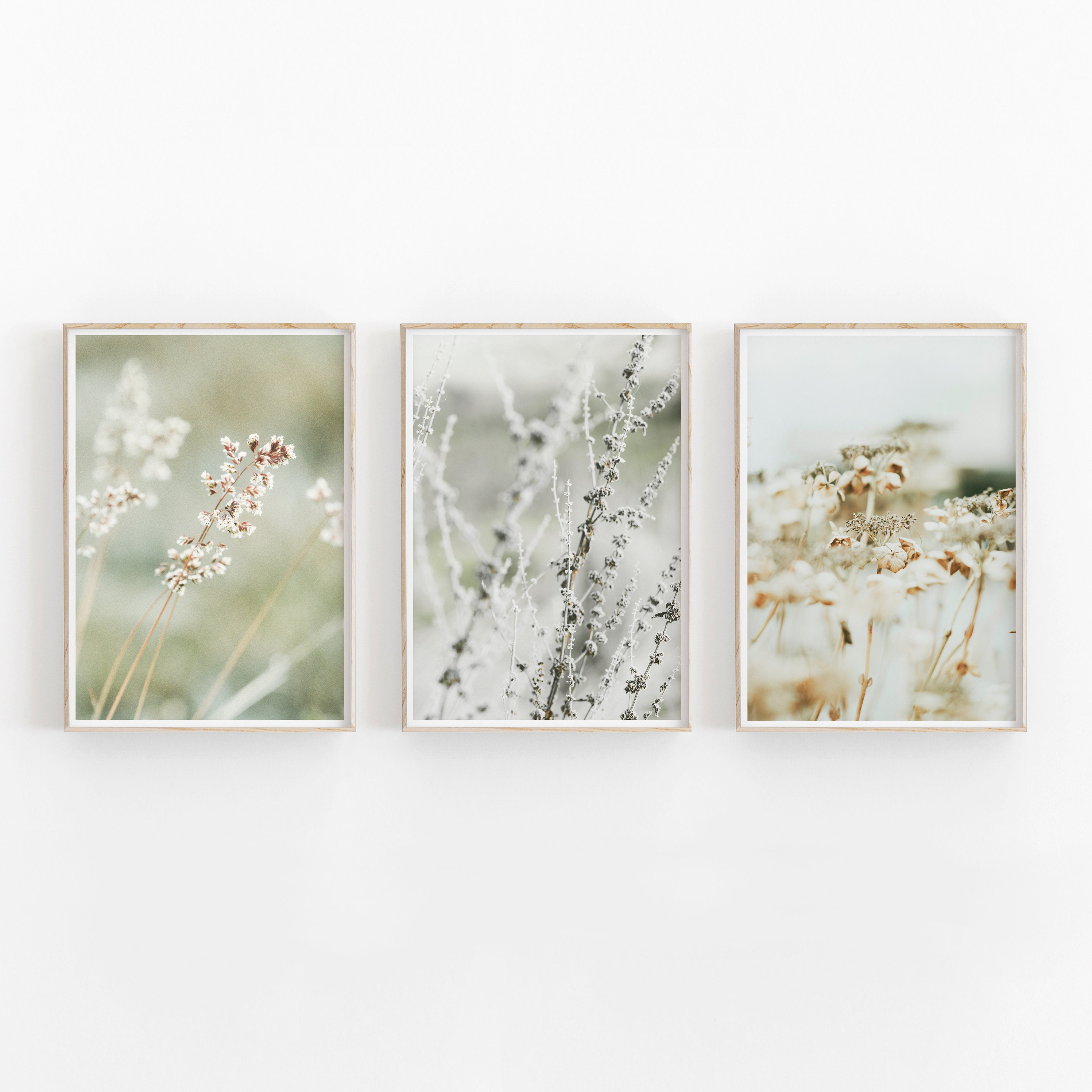 Botanical Print Set of 3 Dried Grass Print Printable Art | Etsy