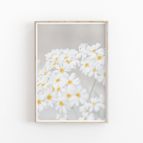 White Daisy Flowers Print Instant Art INSTANT DOWNLOAD | Etsy