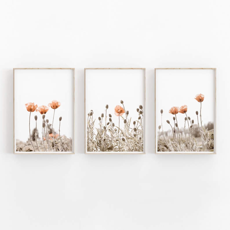 Poppy Print Set of 3 Flower Print Printable Art INSTANT - Etsy Canada