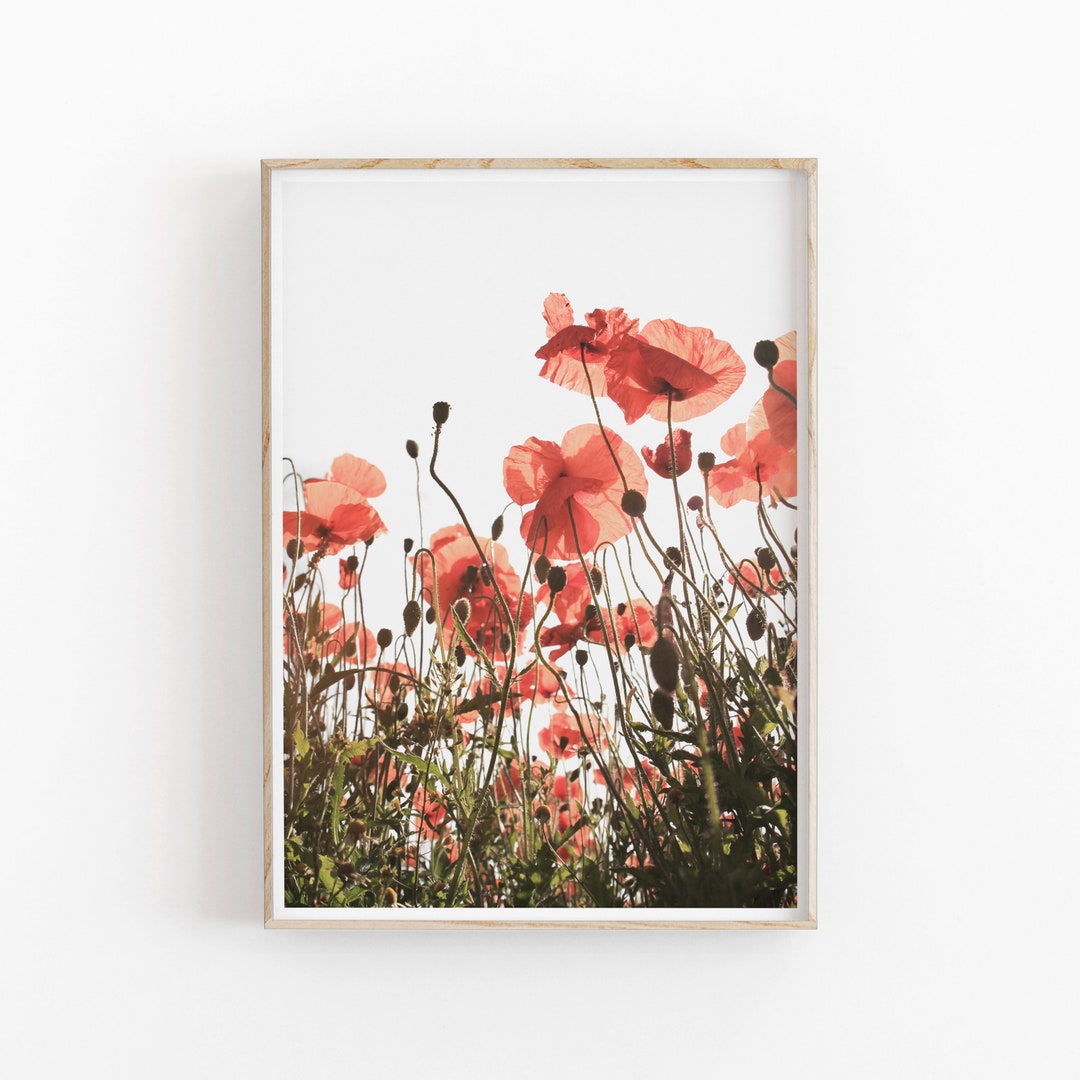 Poppies Print, Instant Art, INSTANT DOWNLOAD, Modern Minimalist Poster ...