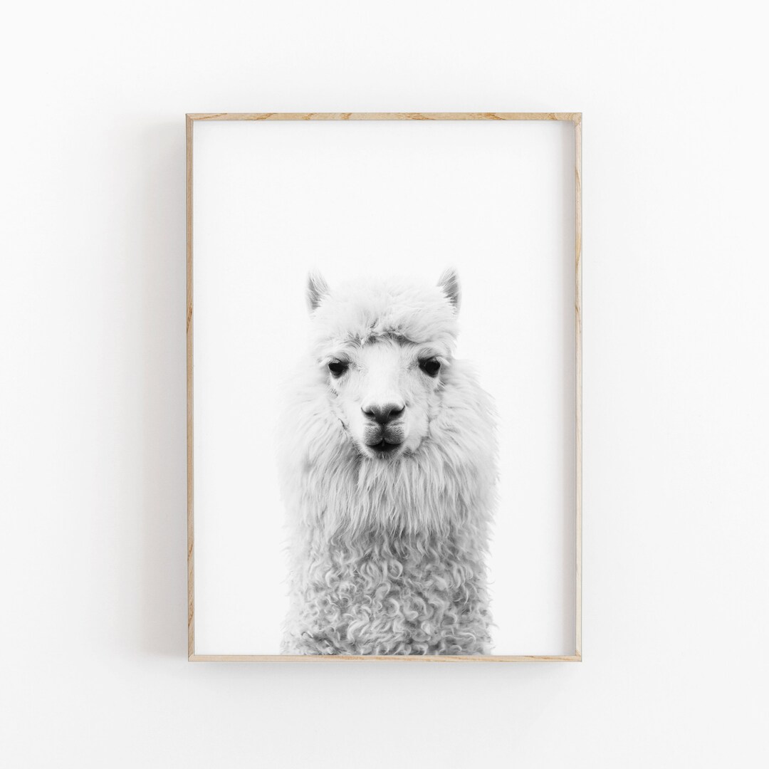 Llama Print, Alpaca Art, INSTANT DOWNLOAD, Modern Minimalist Poster ...