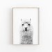 Llama Print, Alpaca Art, INSTANT DOWNLOAD, Modern Minimalist Poster ...