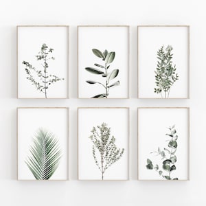 Botanical Print Set of 6 Botanical Print Printable Art | Etsy