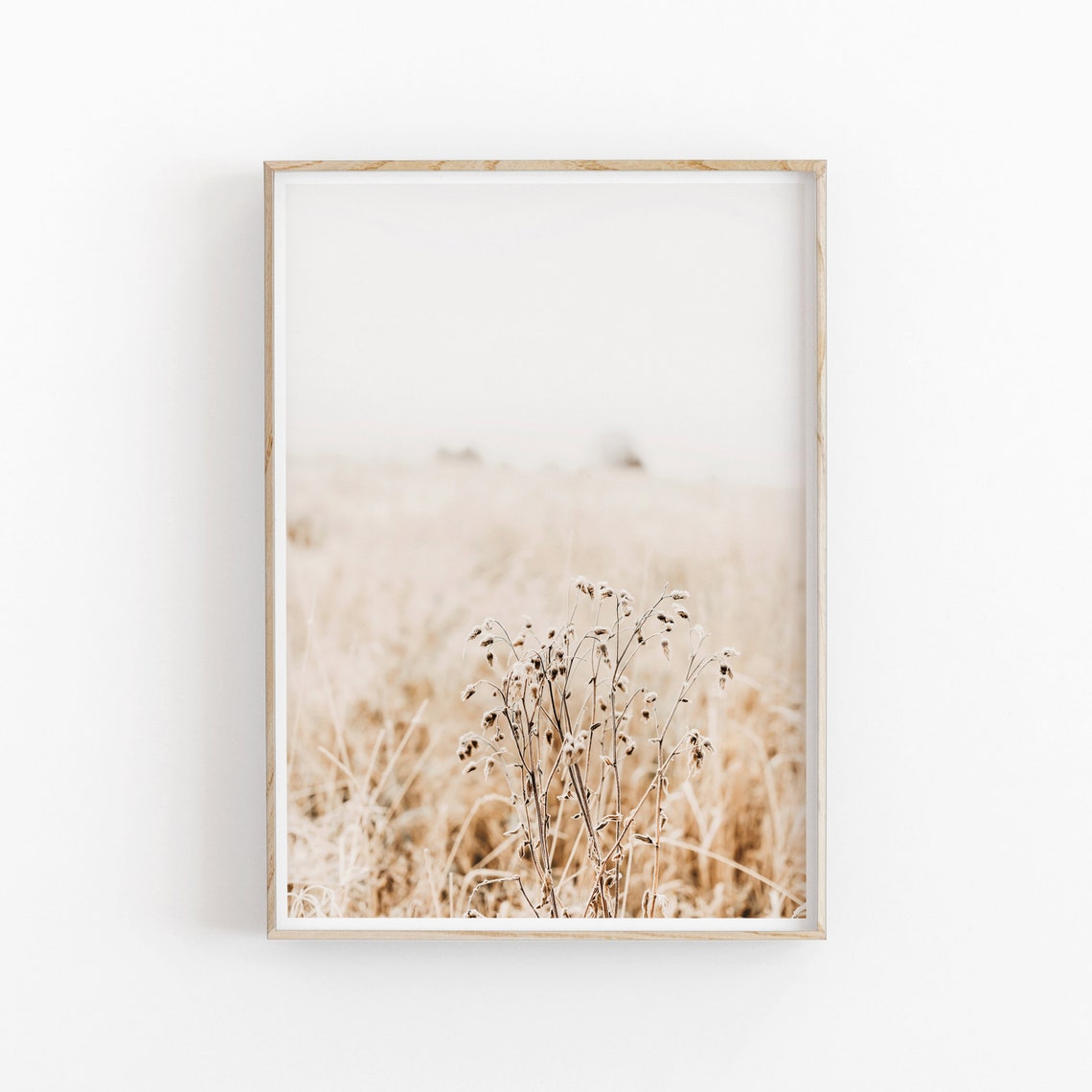 Botanical Print Set of 3 Dried Grass Print Printable Art | Etsy