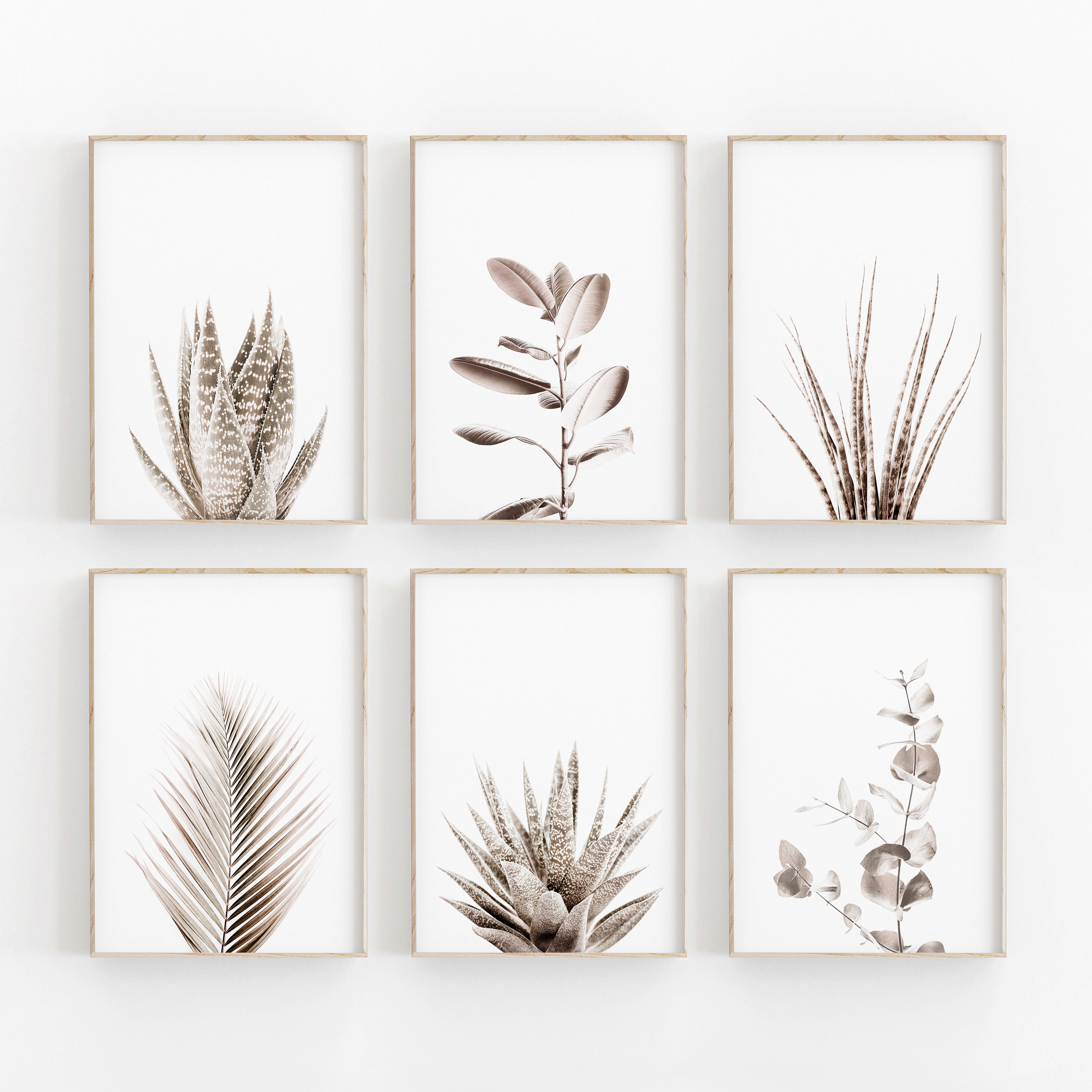 Botanical Print Set of 6 Botanical Print Printable Art - Etsy