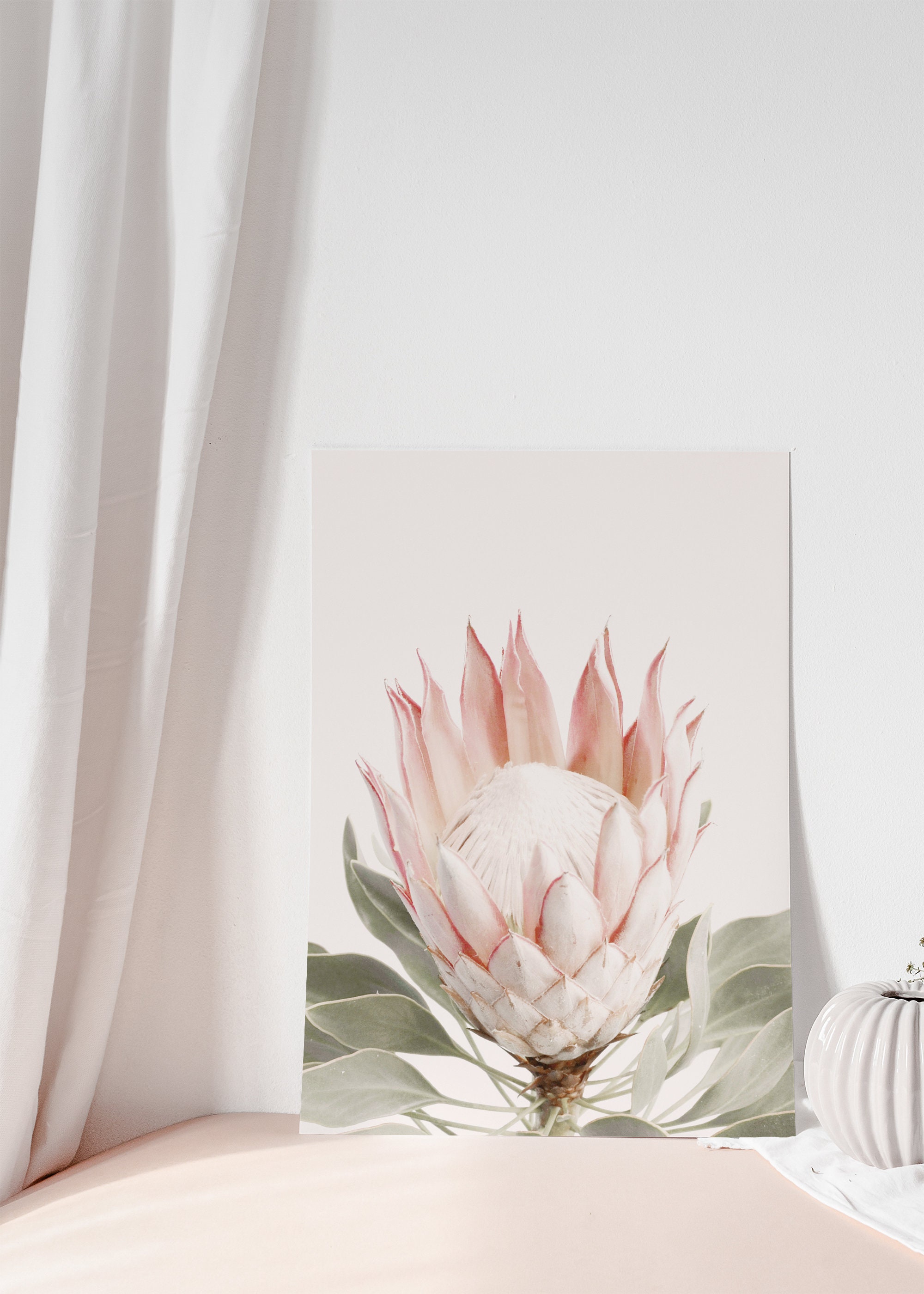 Protea Print Set of 3 Flower Print Printable Art INSTANT | Etsy