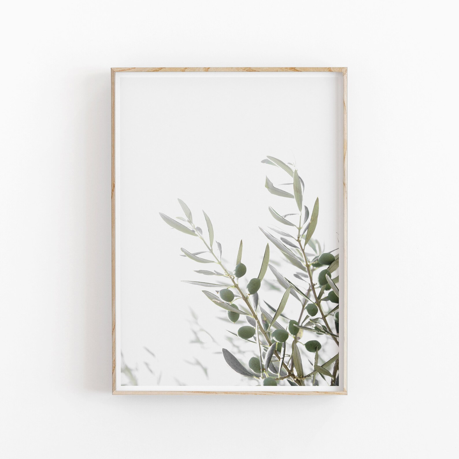 Olive Branch Print Botanical Print Instant Art INSTANT | Etsy