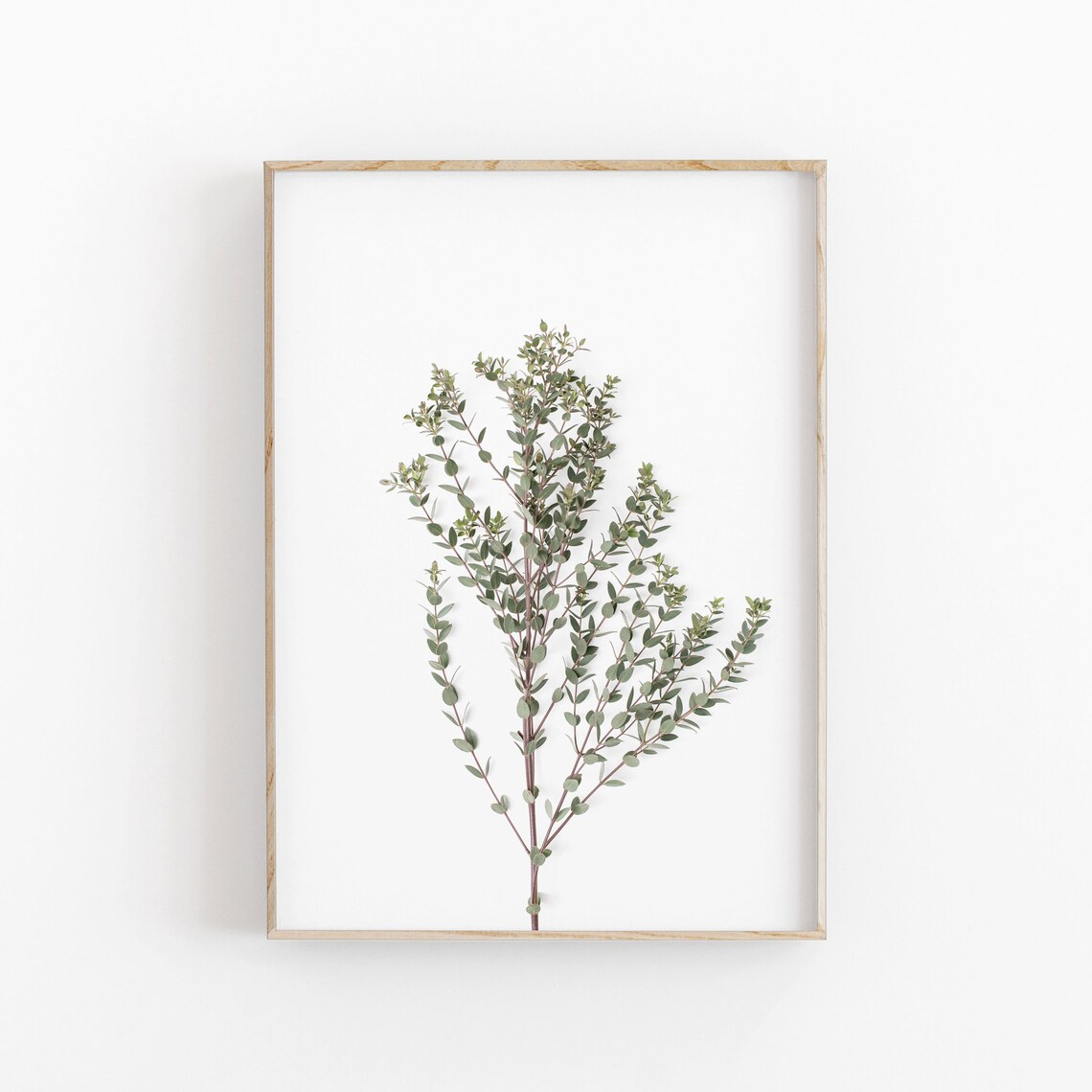 Eucalyptus Print Set of 3 Botanical Print Printable Art - Etsy