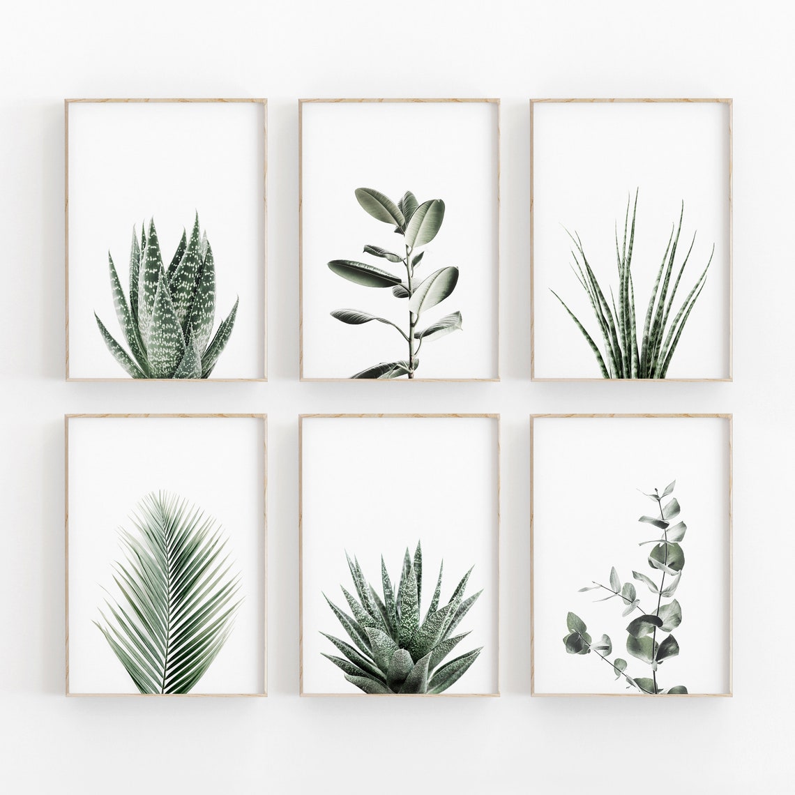 Botanical Print Set of 6 Botanical Print Printable Art - Etsy Australia