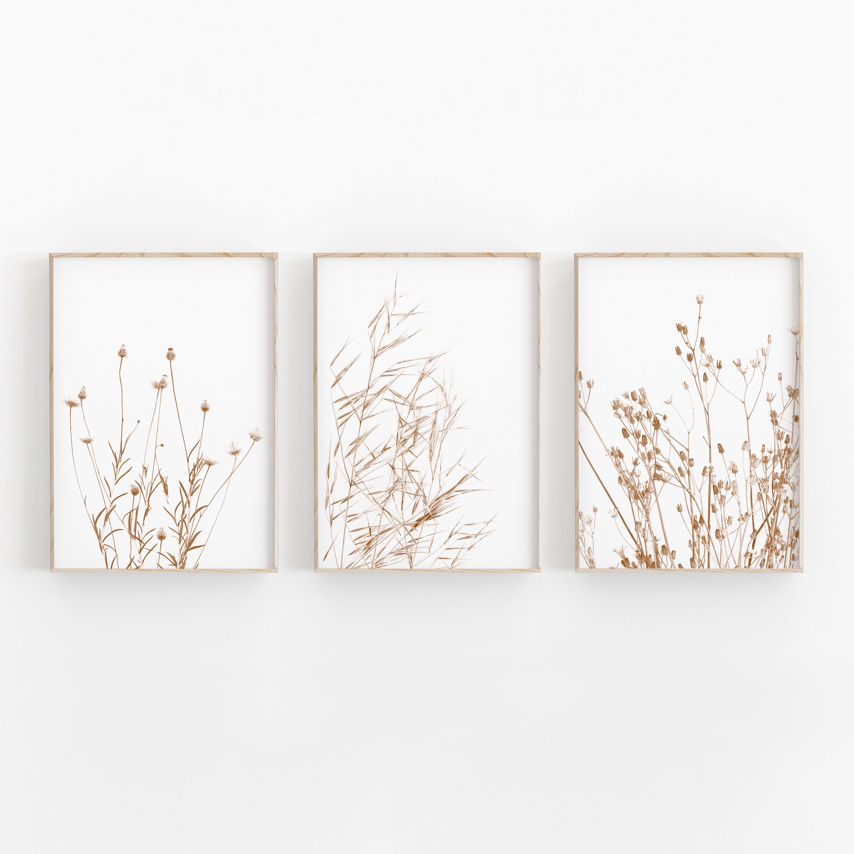 Botanical Print Set of 3 Dried Grass Print Printable Art - Etsy