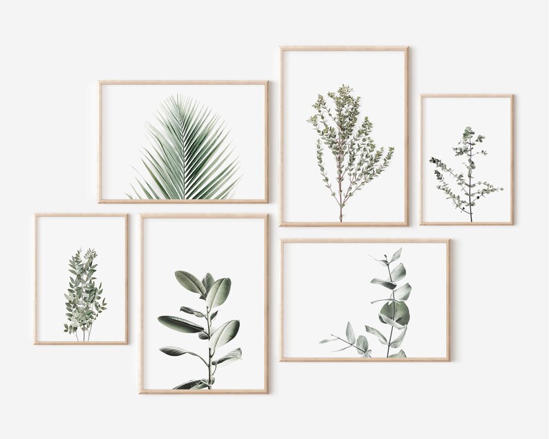 Botanical Print Set of 6 Botanical Print Printable Art | Etsy