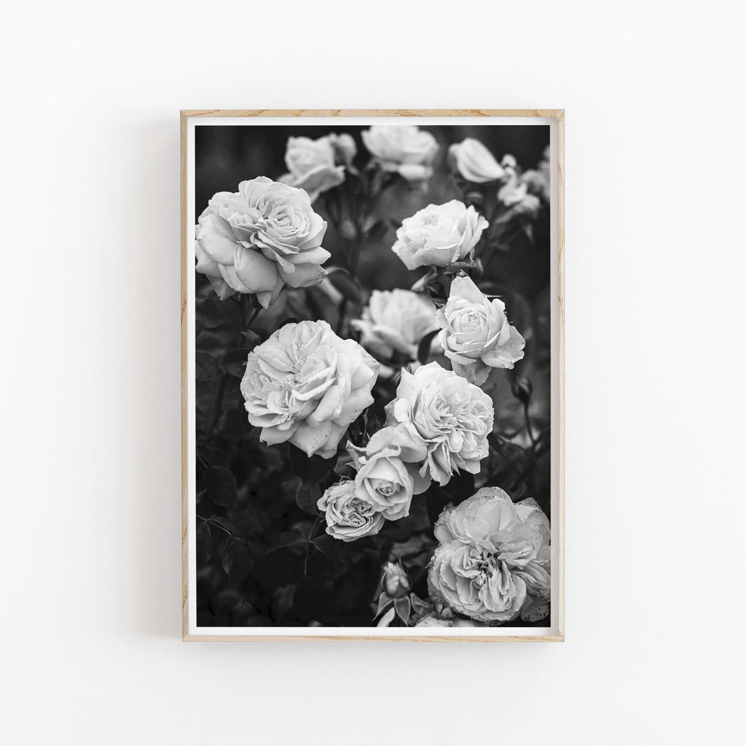 White Roses Print, Wall Art, PRINTABLE Art, Black and White Photography ...