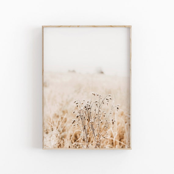 Botanical Print Dried Grass Art Farmhouse Art Modern | Etsy