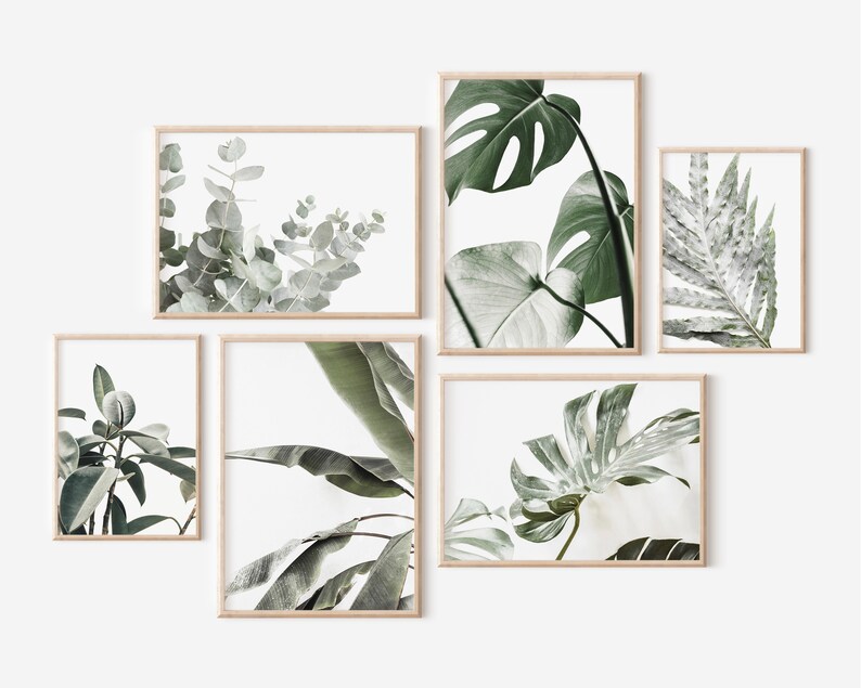 Botanical Print Set of 6 Botanical Print Printable Art - Etsy