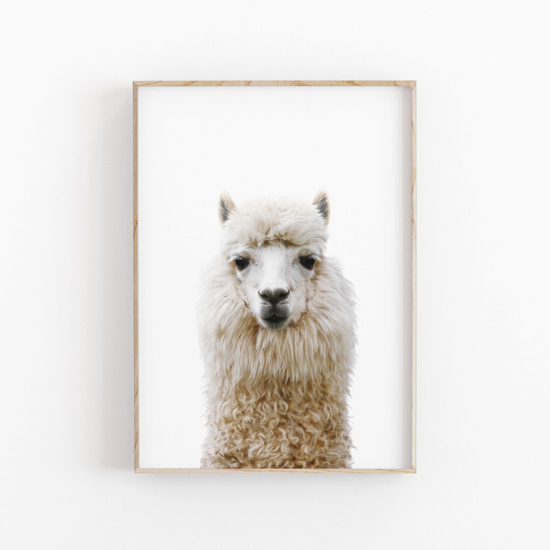 Llama Print, Alpaca Art, INSTANT DOWNLOAD, Modern Minimalist Poster ...