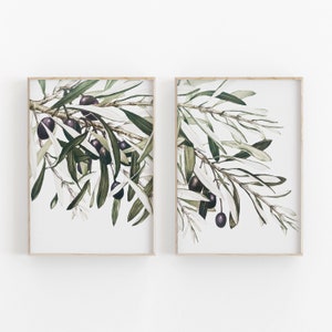 Botanical Print Set of 2 Olive Branch Art INSTANT DOWNLOAD - Etsy