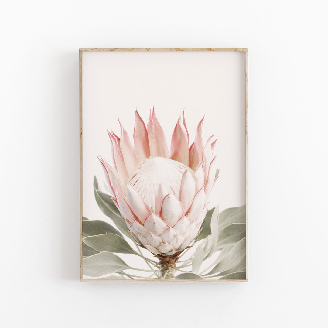 Protea Print, Instant Art, INSTANT DOWNLOAD, Modern Minimalist Poster ...
